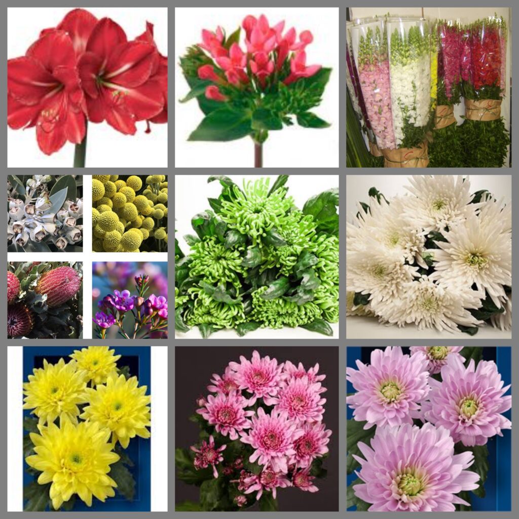 Products – Al Tulu Flora WLL